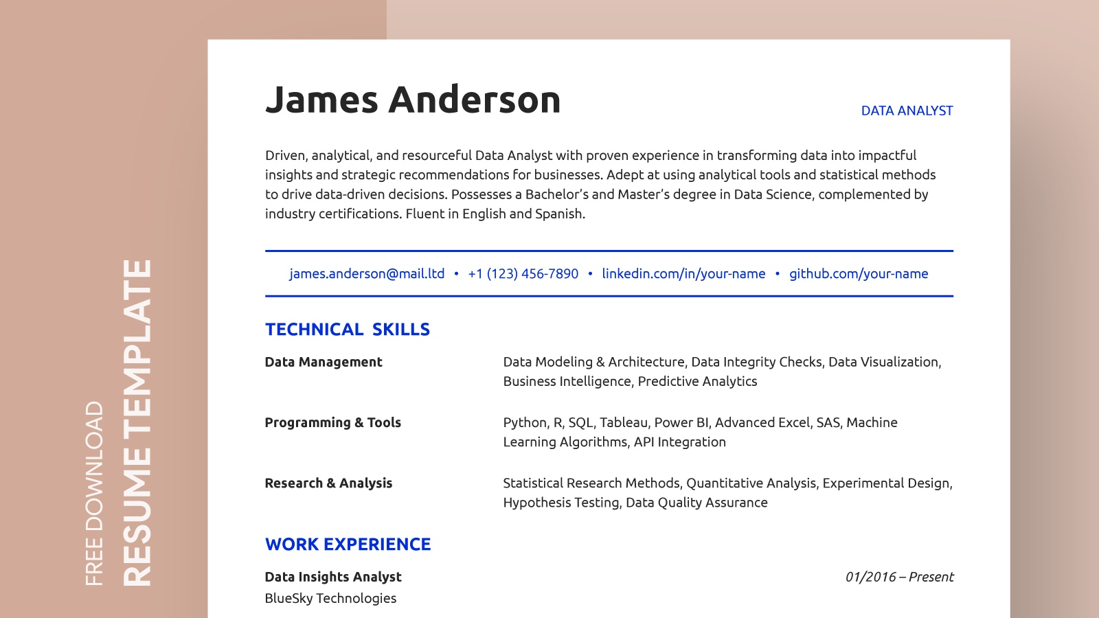 Data Analyst Resume Free Google Docs Template - gdoc.io
