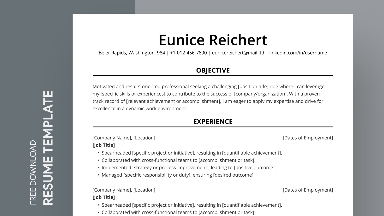 Entry Level Resume Free Google Docs Template - gdoc.io