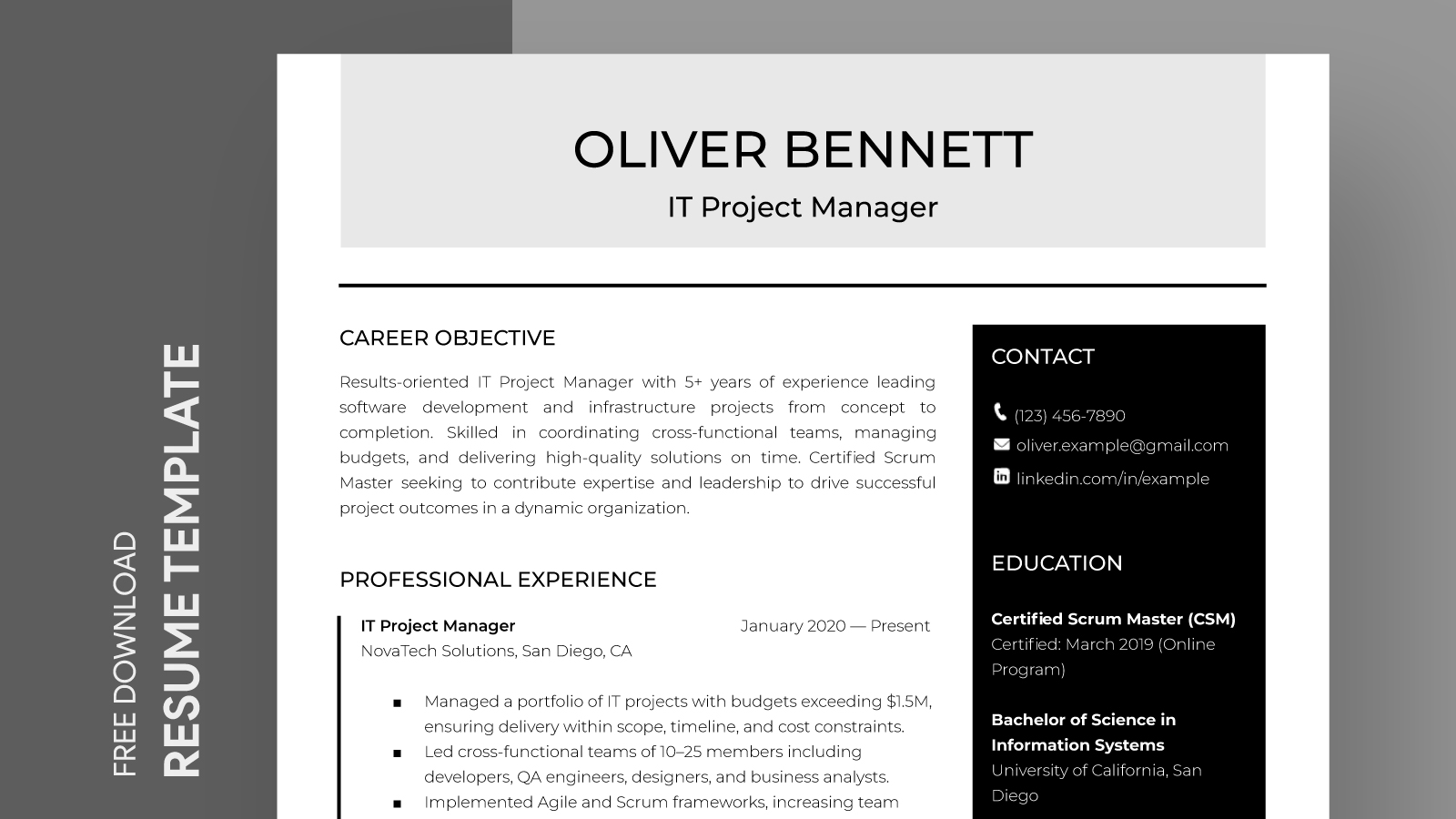 IT Project Manager Resume Free Google Docs Template - gdoc.io