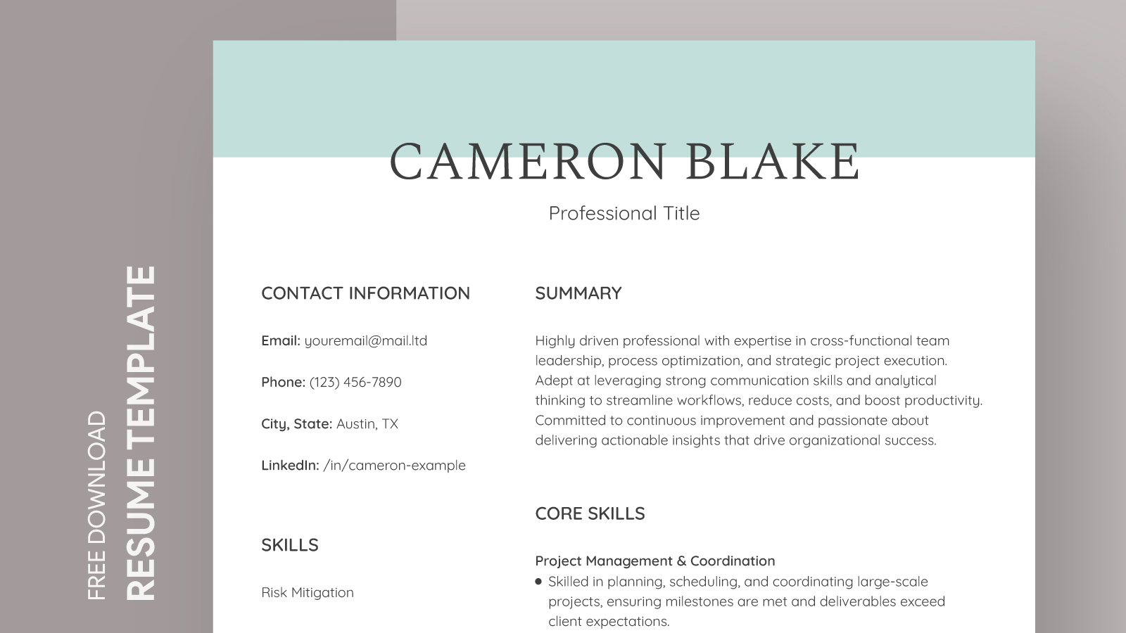 Skills Based Smart Resume Free Google Docs Template - gdoc.io
